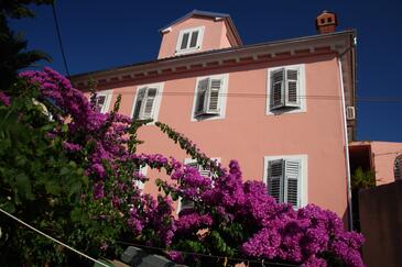 Appartamenti Accanto Al Mare Lussinpiccolo - Mali Lošinj, Lussino - Lošinj - 12634 - Lussinpiccolo