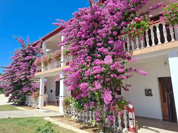 Ferienwohnungen Mit Parkplatz Privlaka, Zadar - 12985 - Privlaka