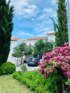 Apartmanok A Tenger Mellett Postira, Brac - 2928 - Postira