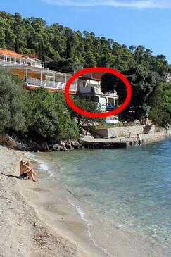 Apartmanok A Tenger Mellett Brna, Korcula - 4425 - Smokvica